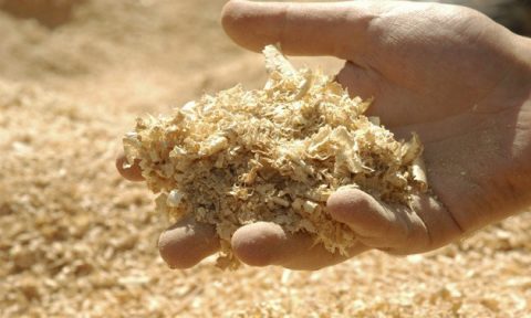 Wood Dust - Sourcetec Industries